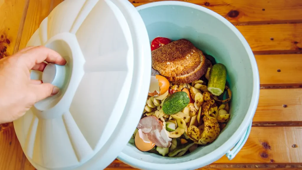 Compostagem Caseira: Transforme Seu Lixo em Vida Nova no Jardim em 2025 ...